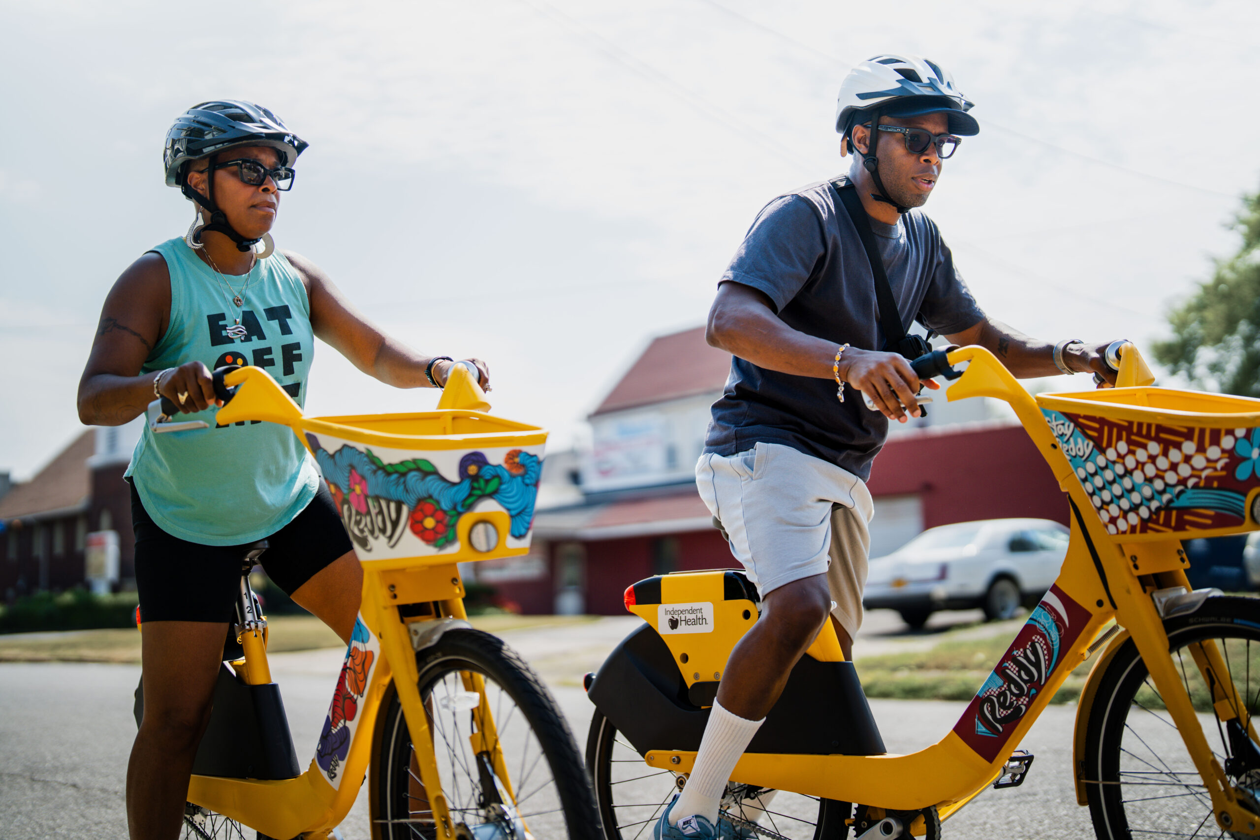 Project Pollination Brings Public Art to Bike Share - Better Bike Share